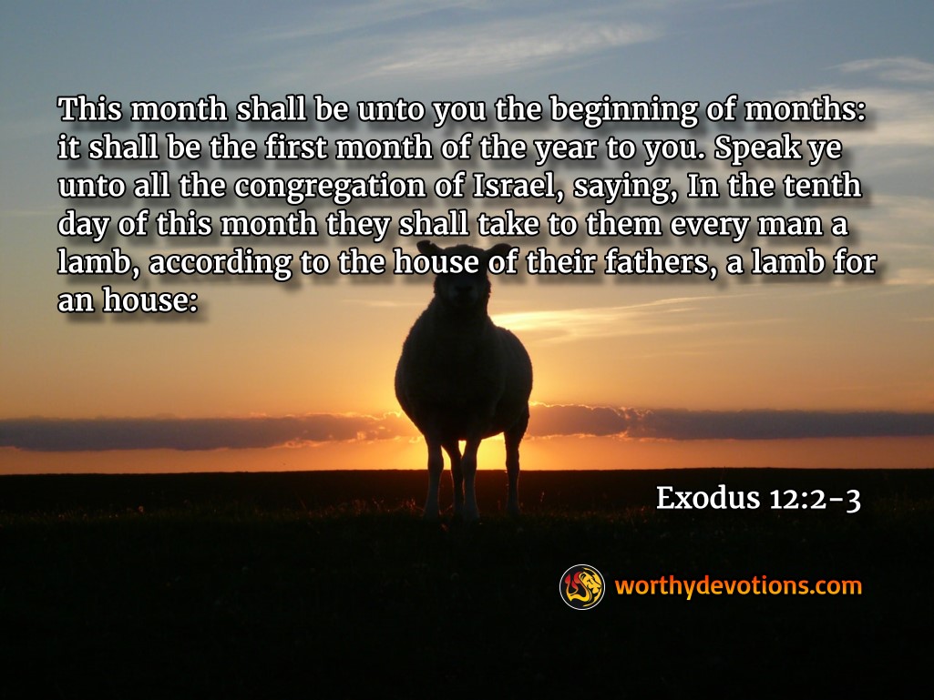 Choose This Day Whom You Will Serve! - Worthy Christian Devotions ...