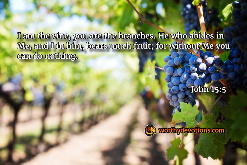 Abide! - Worthy Christian Devotions - Daily Devotional