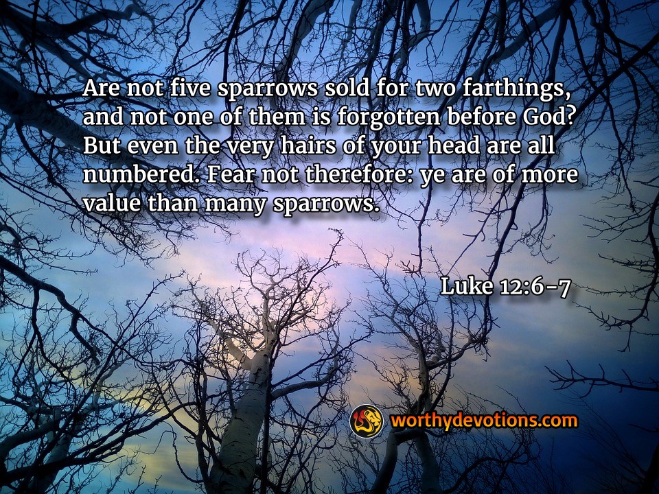 What's your worth? - Worthy Christian Devotions - Daily Devotional