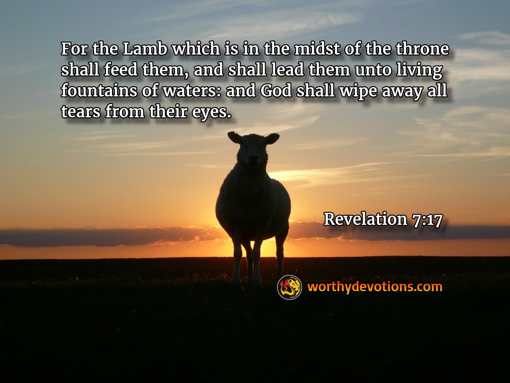 Well, what are you waiting for? - Worthy Christian Devotions - Daily ...