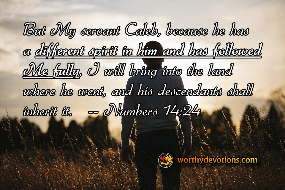 Follow the Lord with all that you have! - Worthy Christian Devotions ...