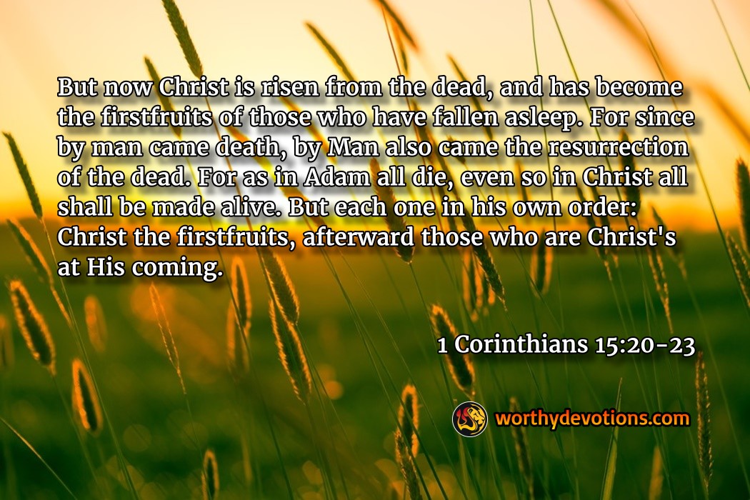 We are the "bikoreem" of creation! - Worthy Christian Devotions - Daily ...